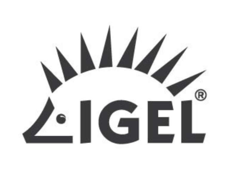 IGEL appoints James Millington as new VP